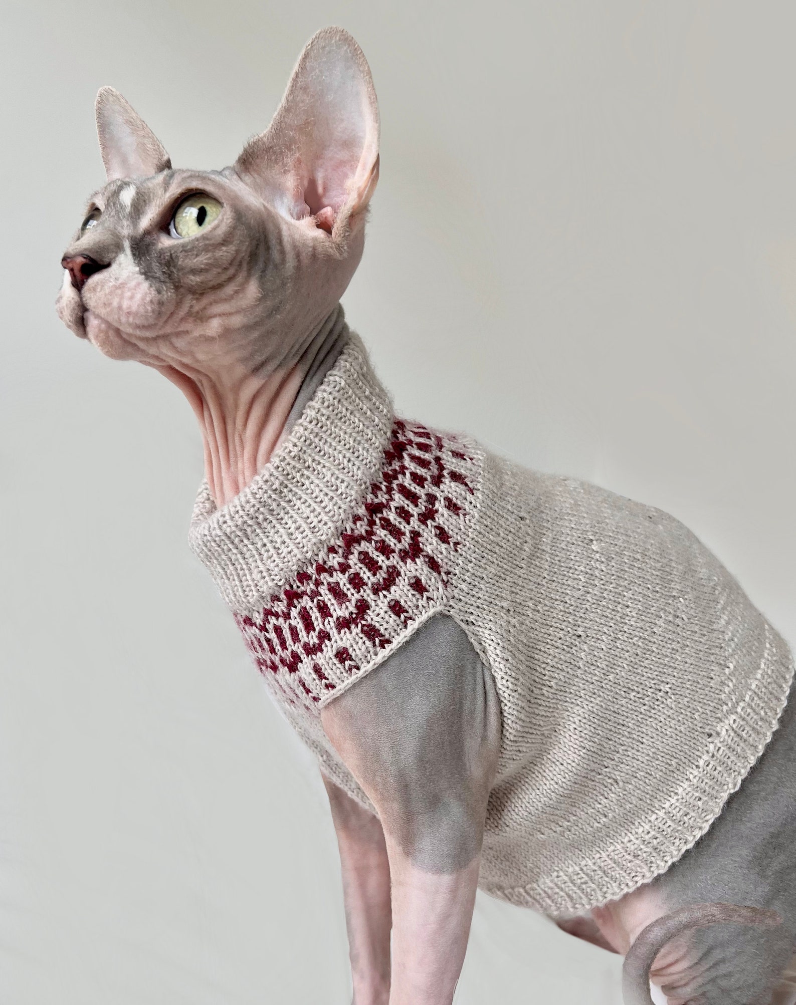 String of Hearts Cat Sweater Knitting Pattern: Colorwork Yoke (PDF ...