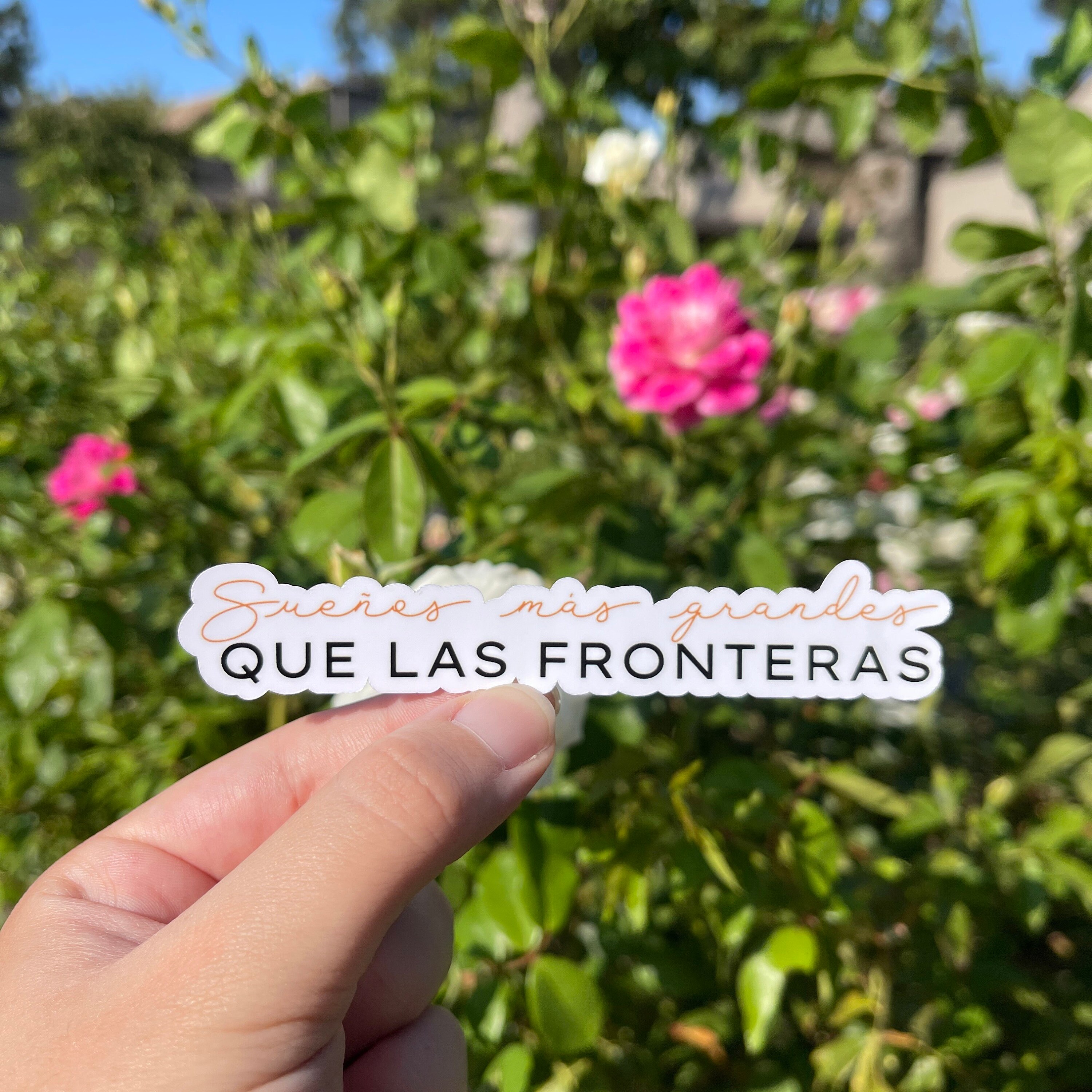 Dreams Bigger Than Borders First Generation Latinx | Etsy