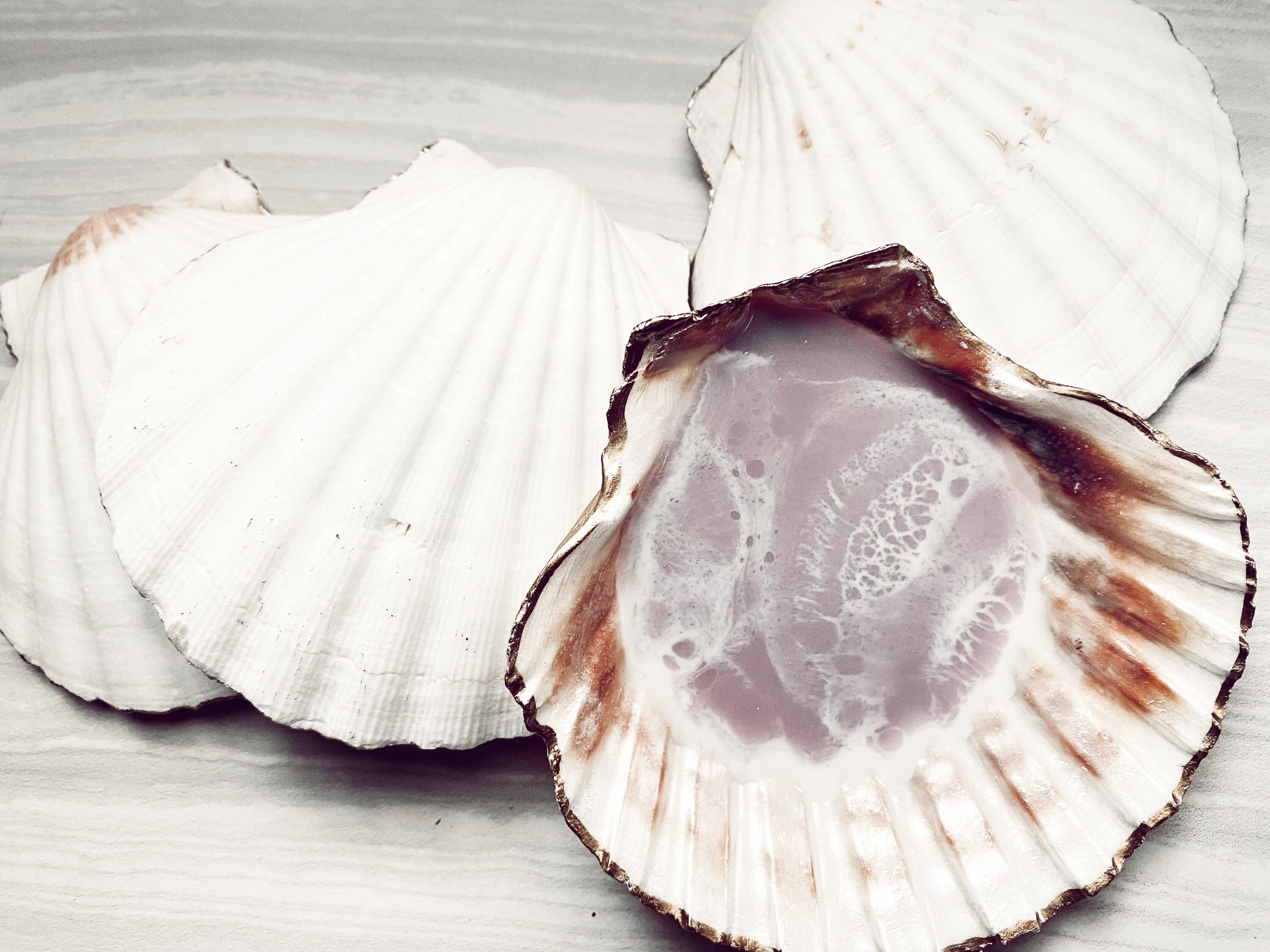 Large Scallop Shell Ring Dish Coastal Decor Epoxy Resin | Etsy