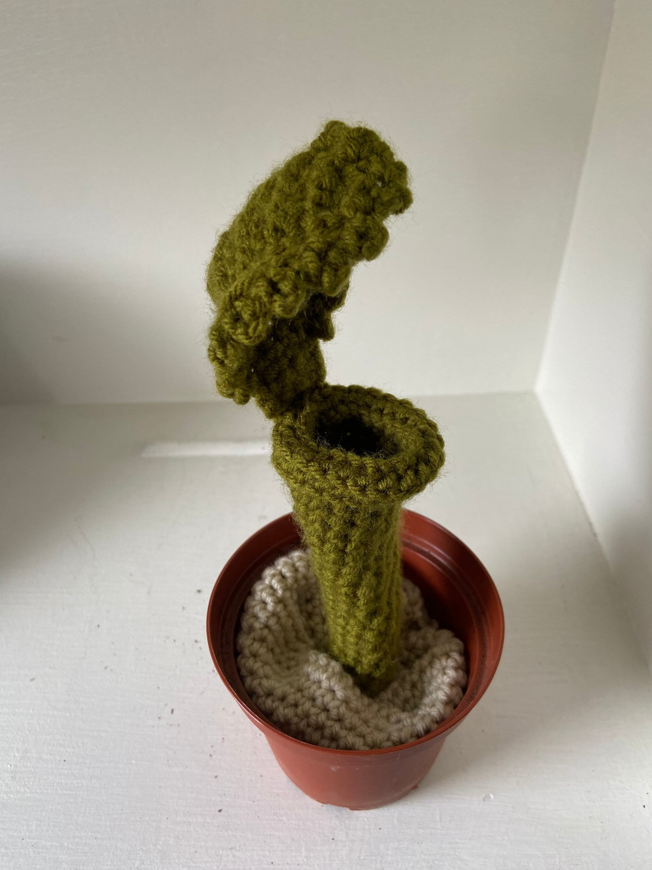 Trumpet Pitcher Plant Crochet Pattern - Etsy