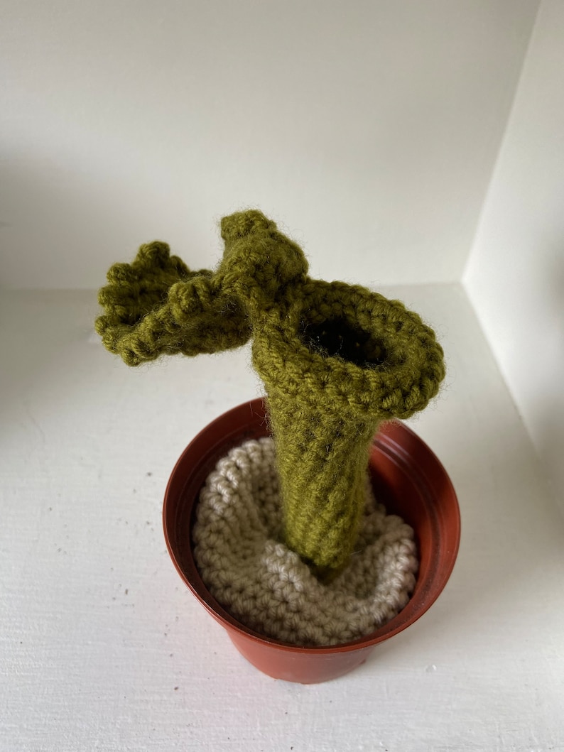 Trumpet Pitcher Plant Crochet Pattern - Etsy