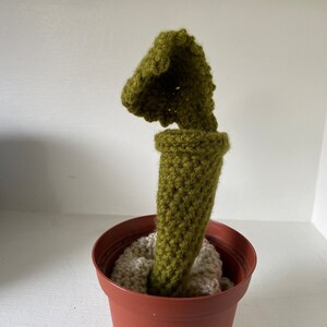 Trumpet Pitcher Plant Crochet Pattern - Etsy