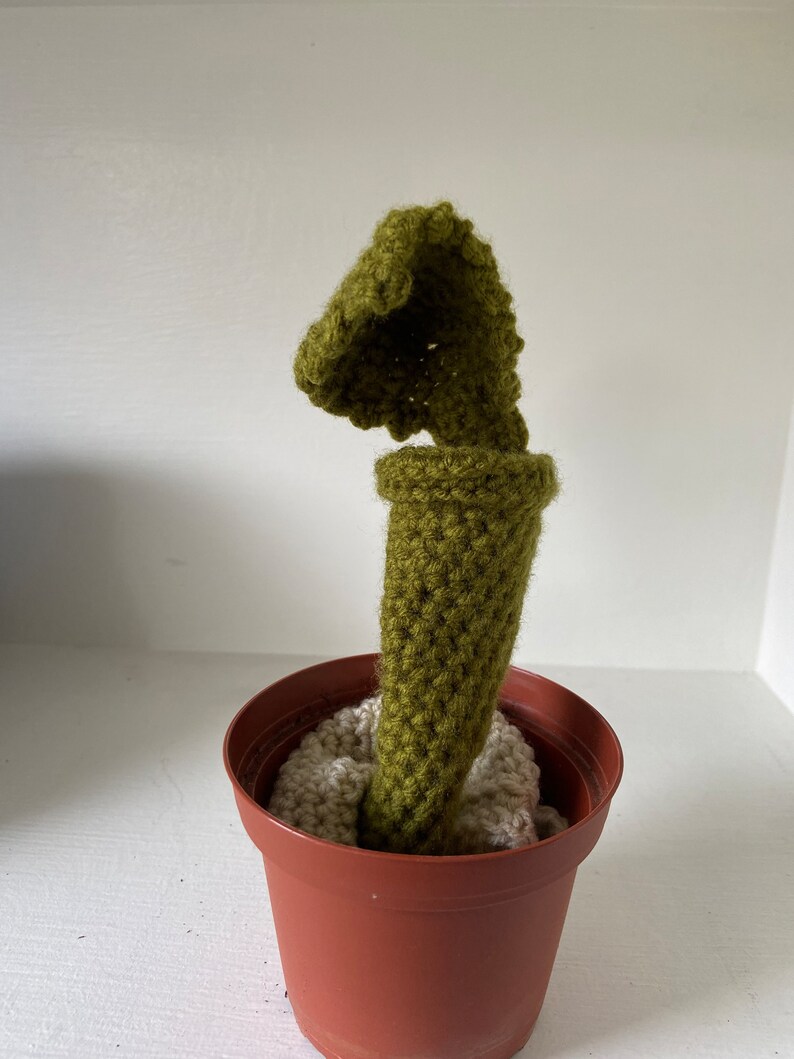 Trumpet Pitcher Plant Crochet Pattern - Etsy