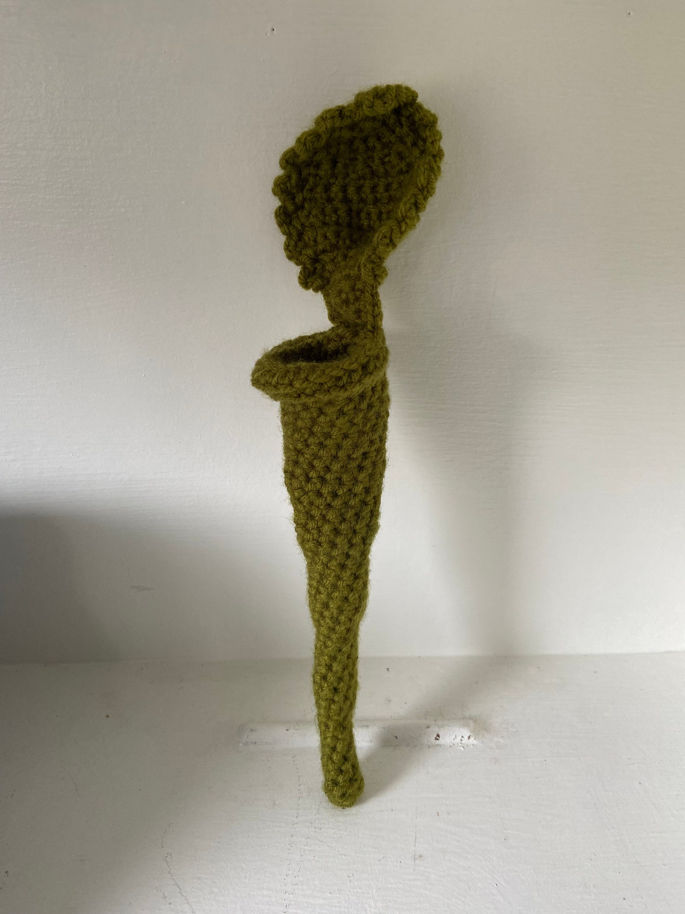 Trumpet Pitcher Plant Crochet Pattern - Etsy
