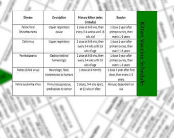 Comprehensive Badge Card for ID Badge Clip Reel Reference | Etsy