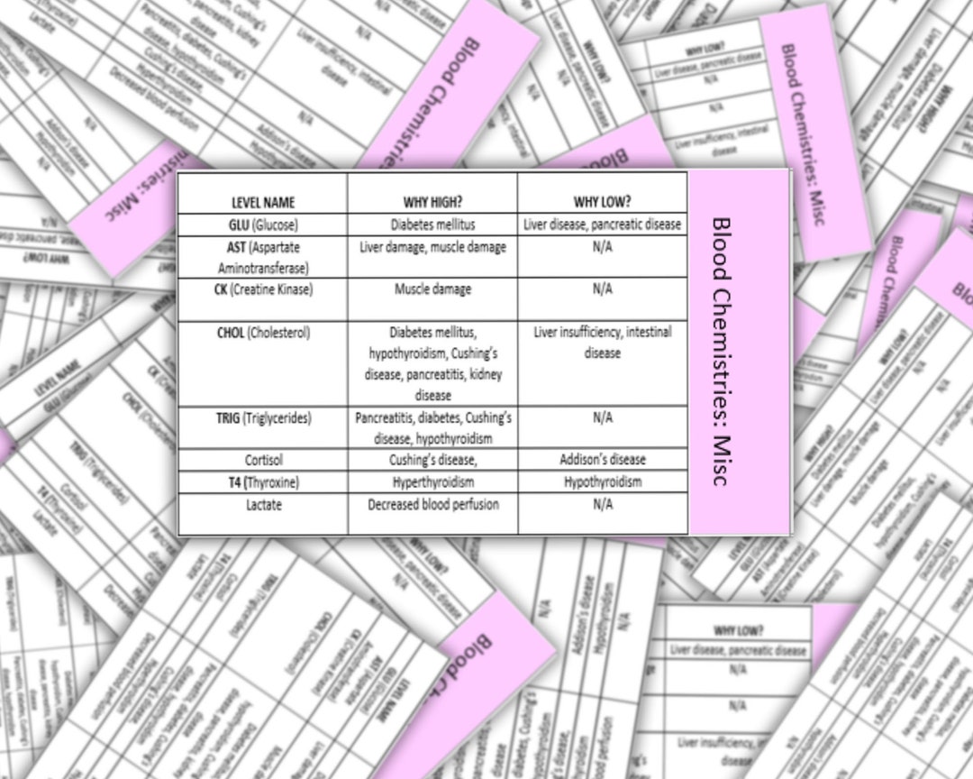 Comprehensive Badge Card- for ID Badge Clip Reel- Reference Card Pocket ...