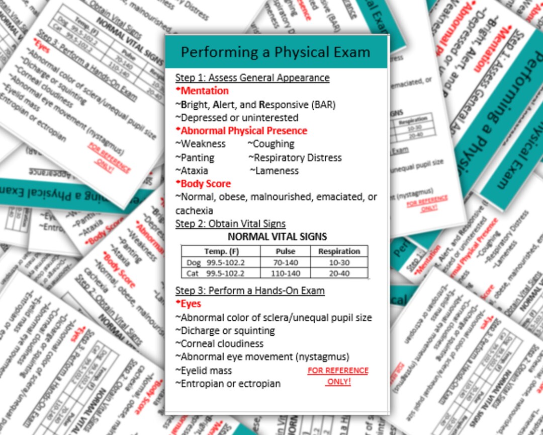 Comprehensive Badge Card- for ID Badge Clip Reel- Reference Card Pocket ...