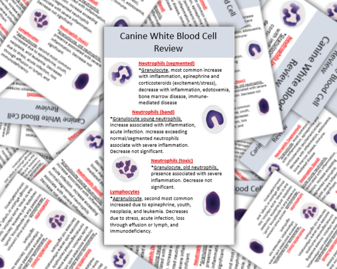 Comprehensive Badge Card- for ID Badge Clip Reel- Reference Card Pocket ...