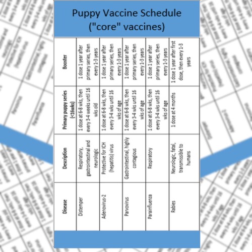 Comprehensive Badge Card for ID Badge Clip Reel Reference - Etsy