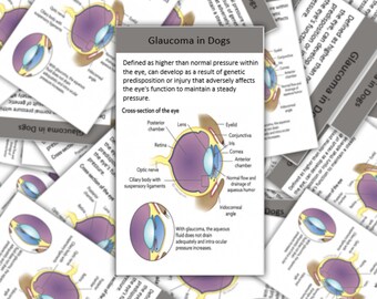 Comprehensive Badge Card for ID Badge Clip Reel Reference Card Pocket ...