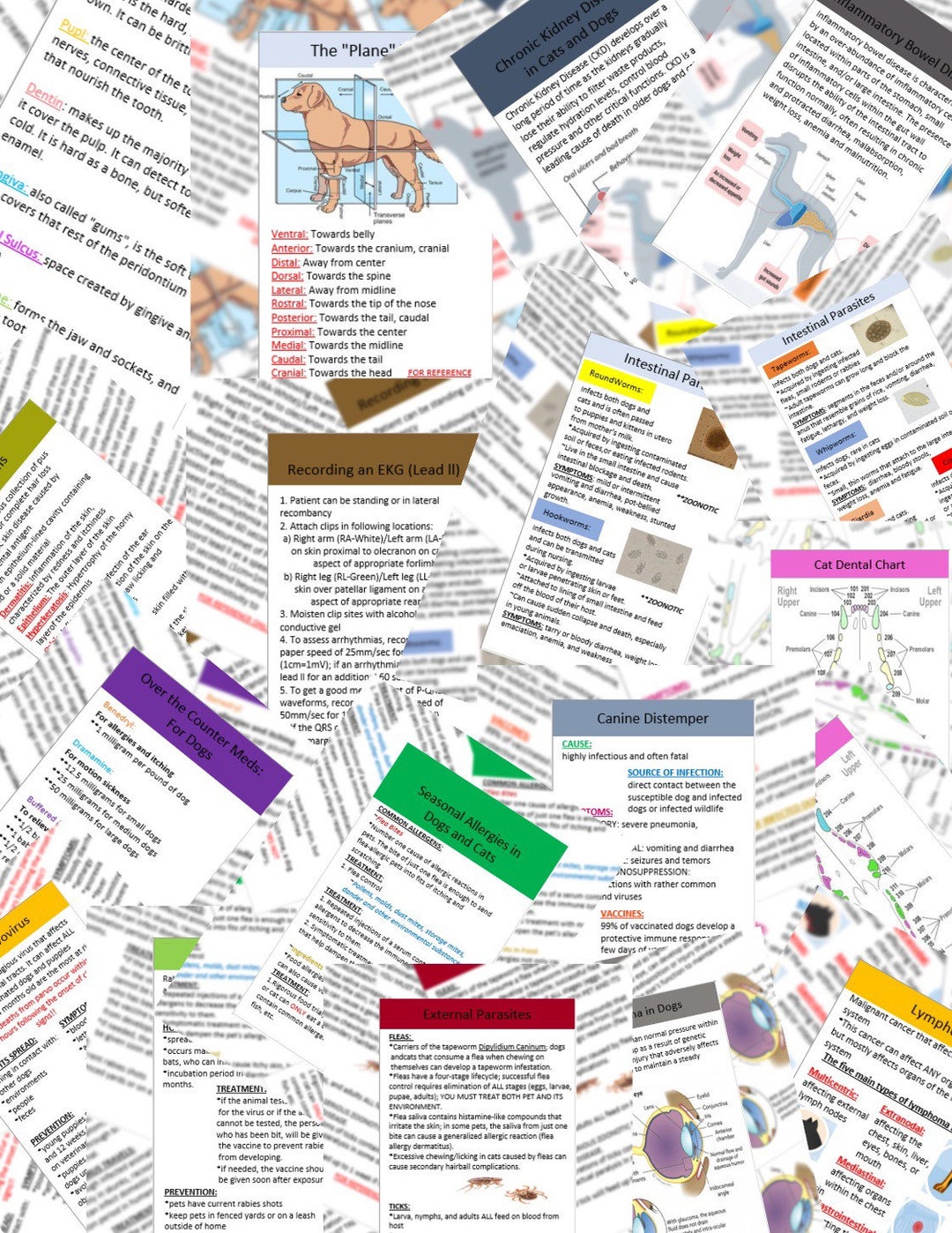 The Complete Badge Card Pack- Reference Card Pocket Guide Veterinarian ...