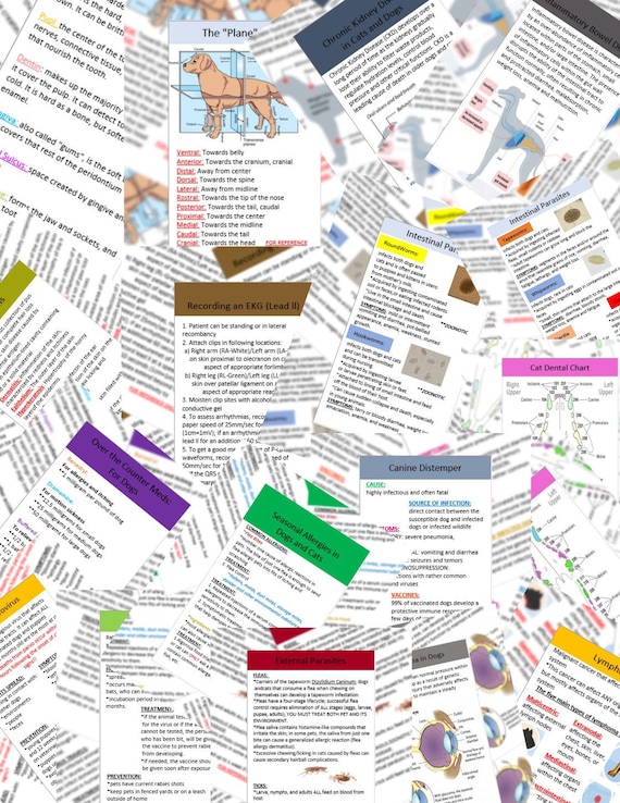 The Complete Badge Card Pack Reference Card Pocket Guide - Etsy