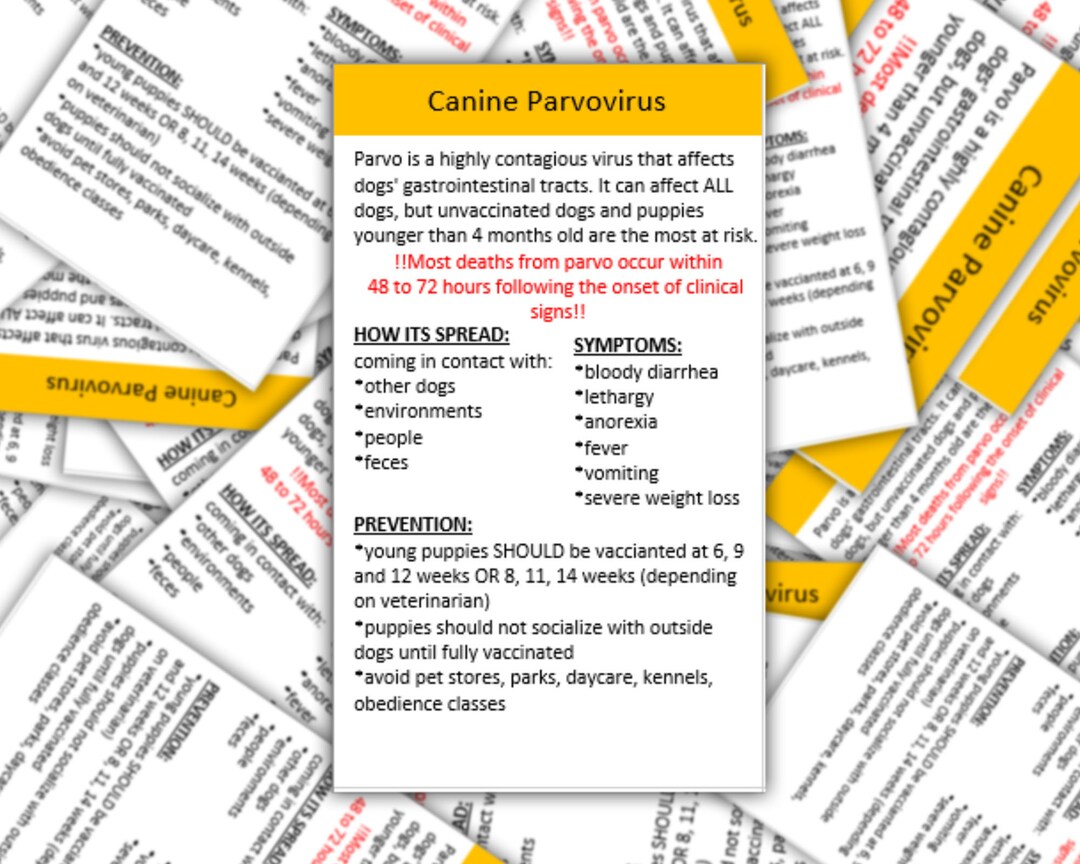 Comprehensive Badge Card- for ID Badge Clip Reel- Reference Card Pocket ...