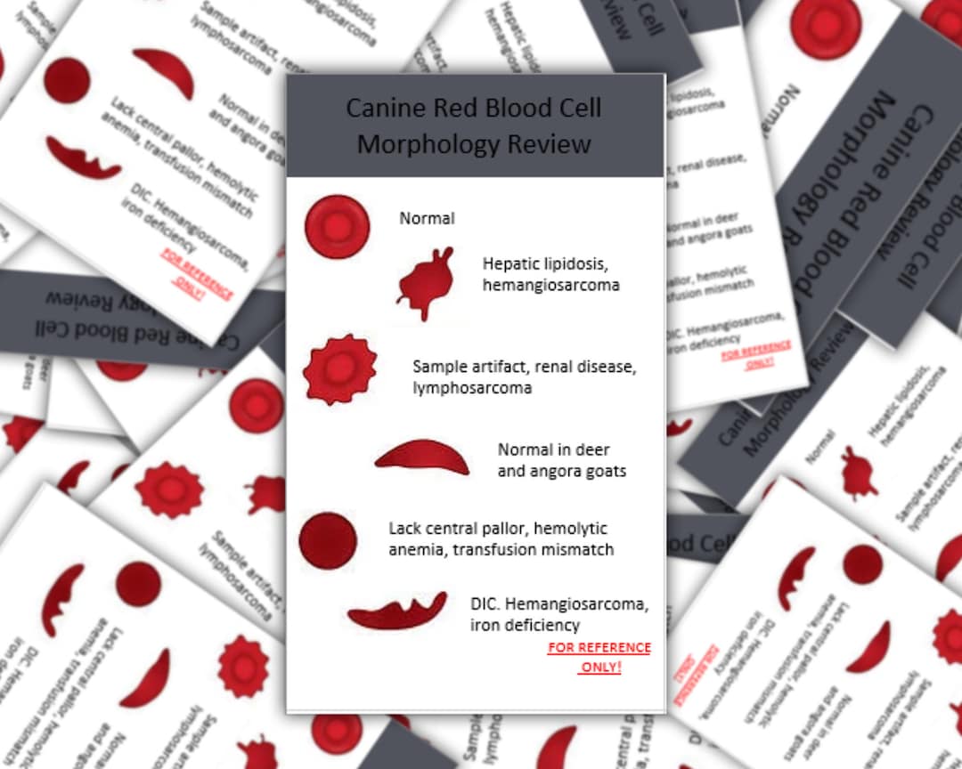 Comprehensive Badge Card- for ID Badge Clip Reel- Reference Card Pocket ...