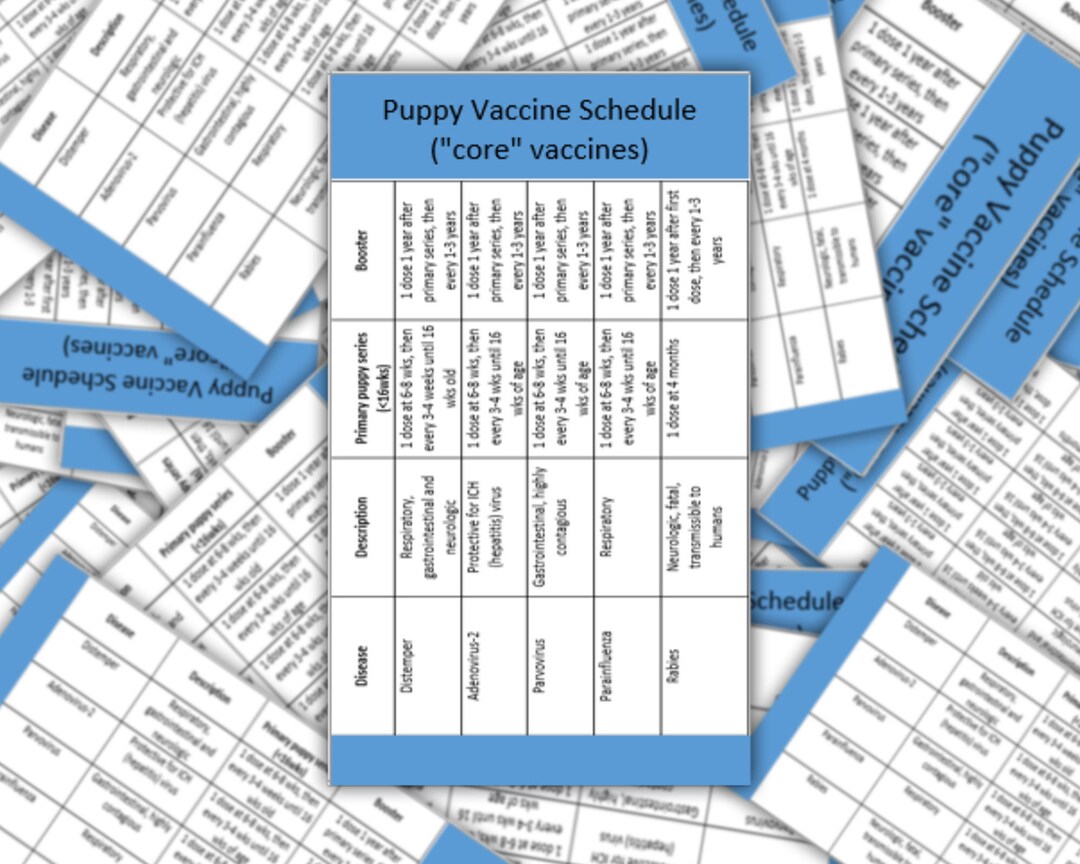 Comprehensive Badge Card- for ID Badge Clip Reel- Reference Card Pocket ...