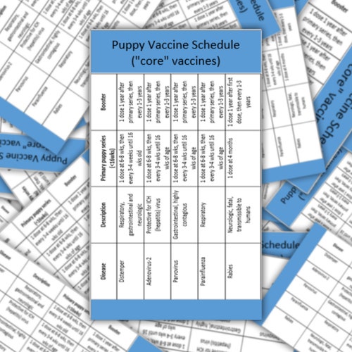 Comprehensive Badge Card for ID Badge Clip Reel Reference - Etsy