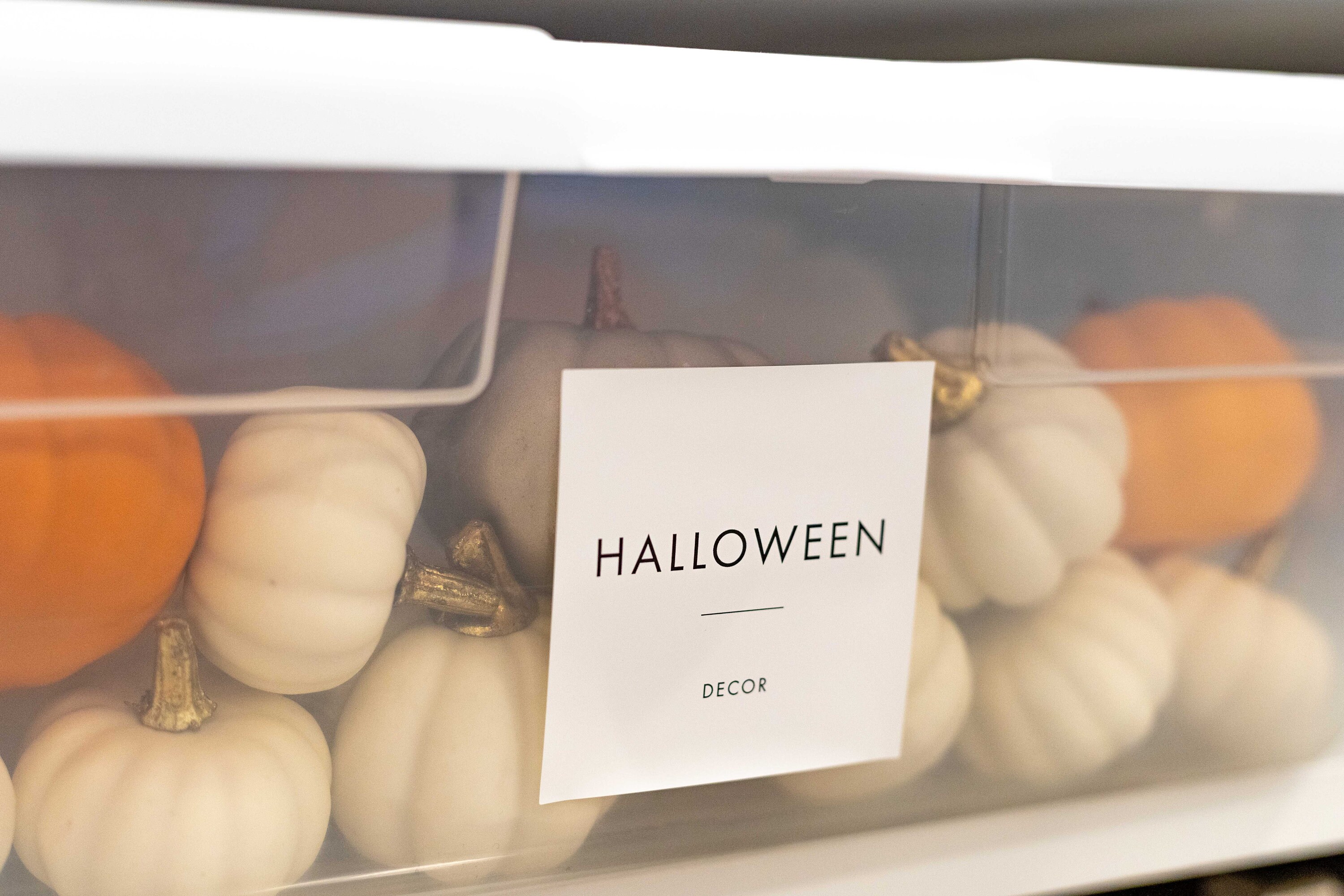 12 Square Modern Storage Seasonal Holiday Organization Labels - Etsy