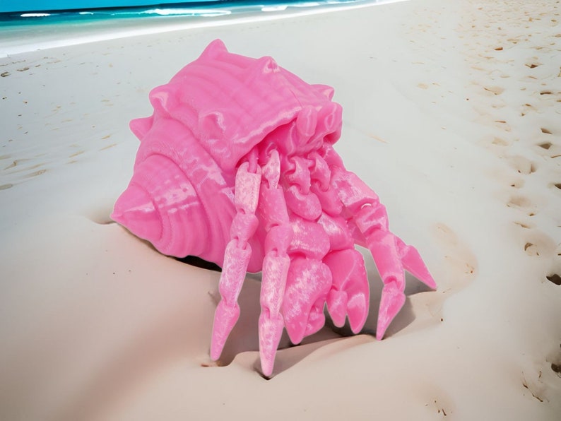 3D Articulated Hermit Crab - Etsy
