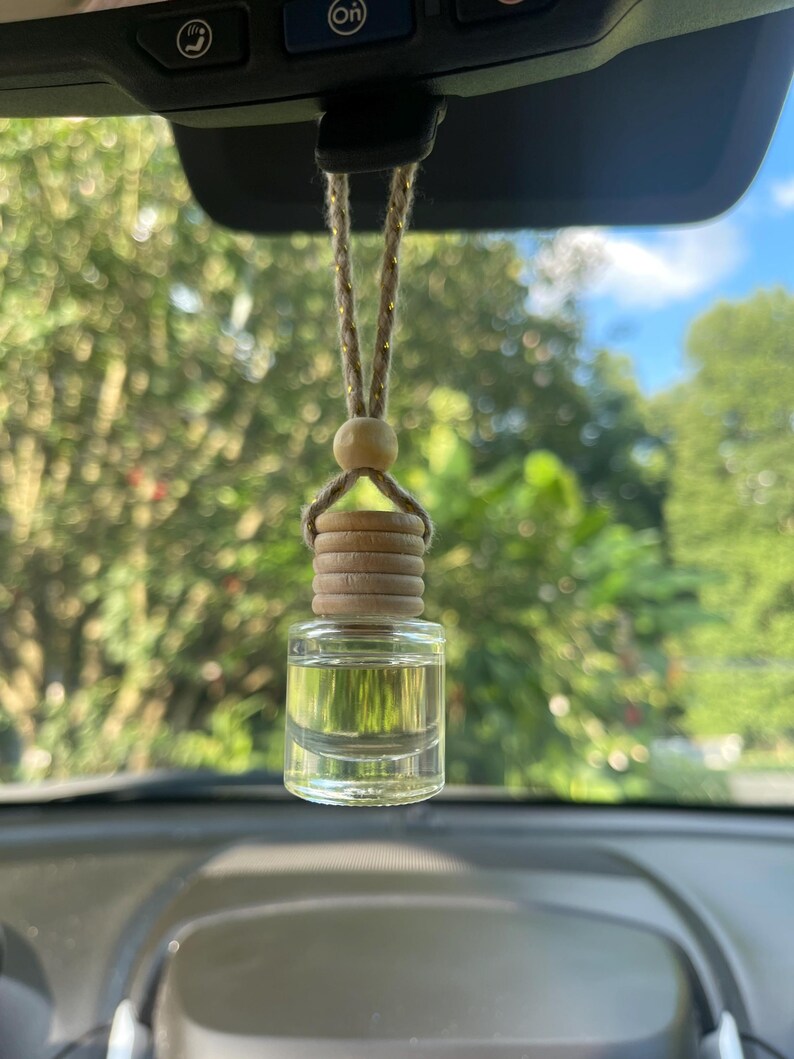 Refillable Car Diffuser: Hanging Air Freshener, Fruity & Clean Scents ...