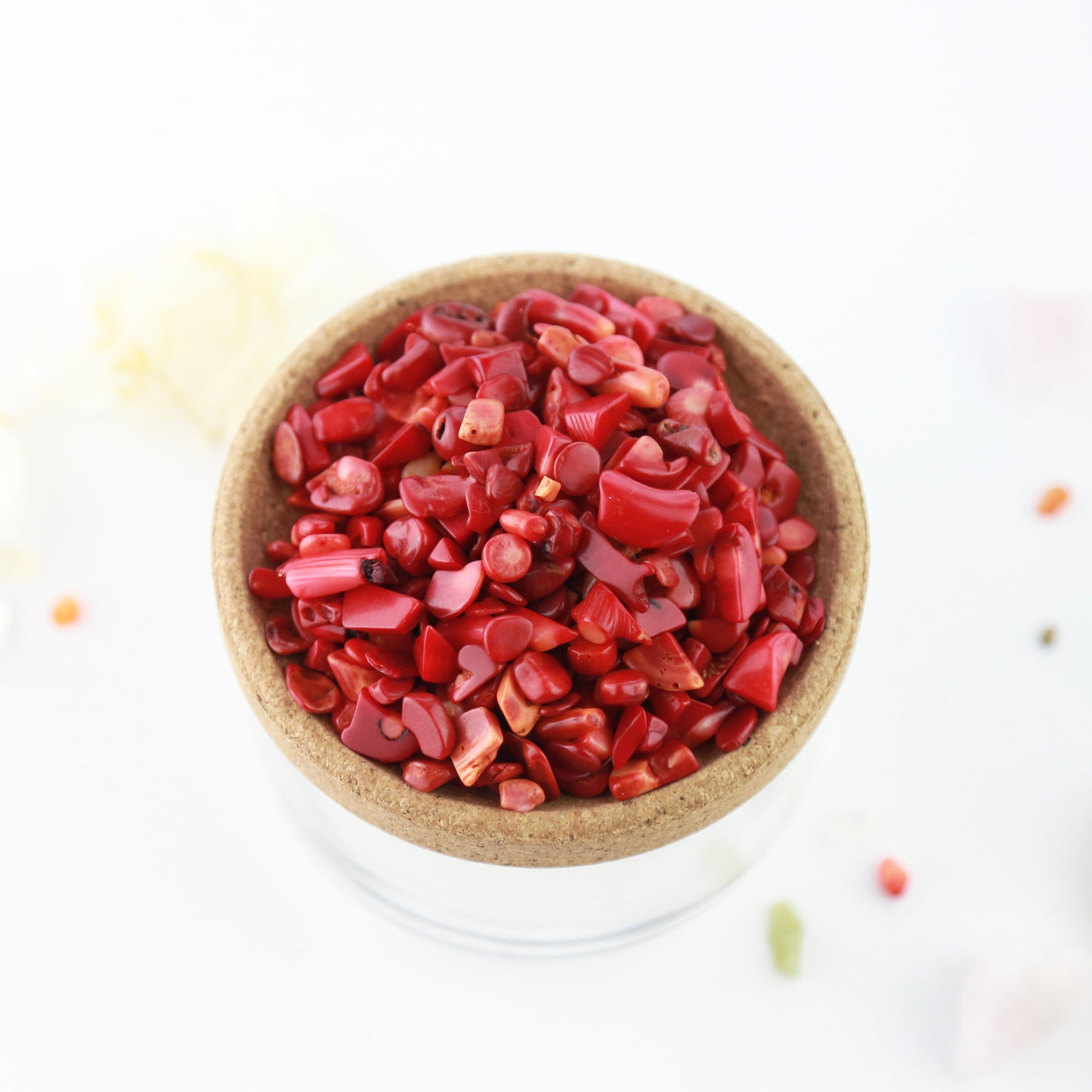 100g Natural Red Coral Chips / Mini Gemstones / Small Polished - Etsy
