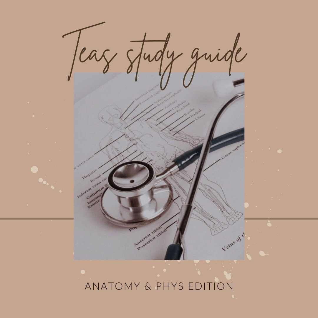 TEAS Anatomy & Physiology Review - Etsy