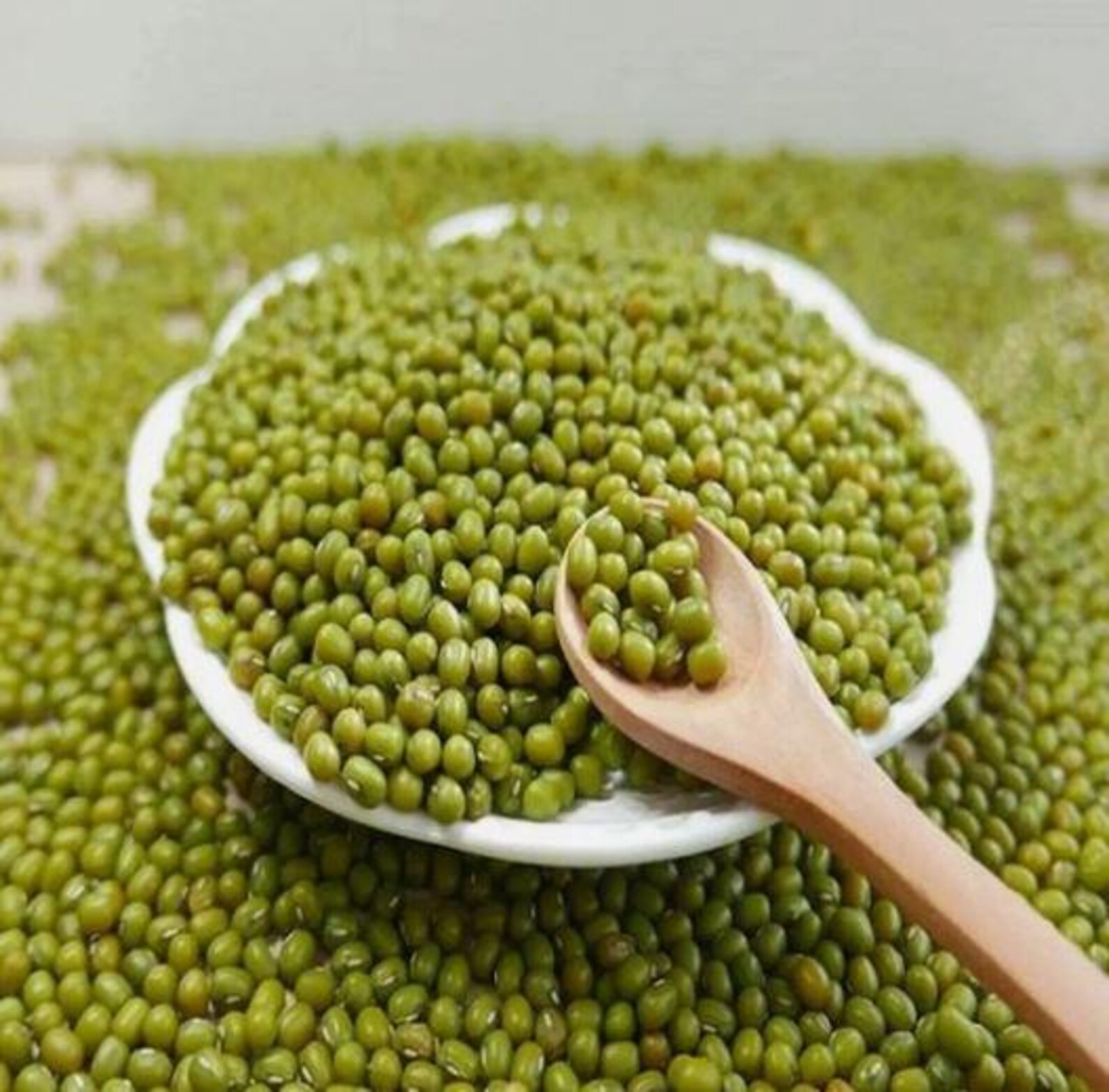 Organic Green Mung Beans 50g - Etsy