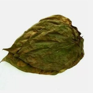 Dried Piper Betel Whole Leaves Organic Herbal Pure 100% Natural From ...