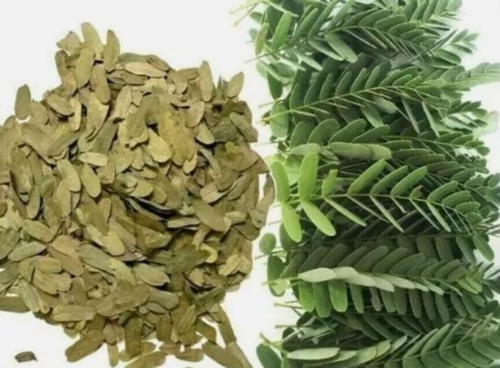 Organic Dried Tamarind Leaves, Tamarind Leaves Tea - Etsy