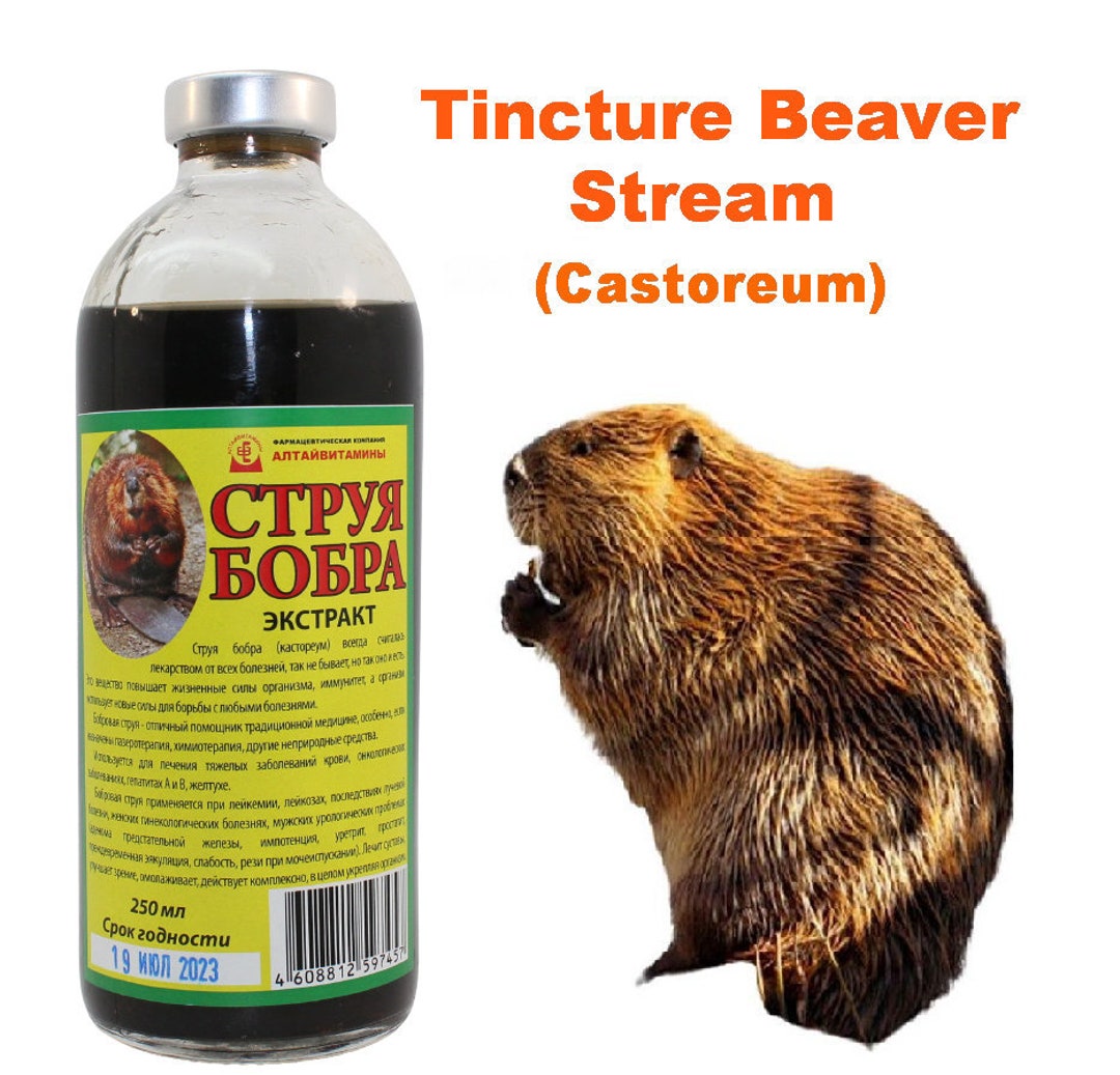 Tincture Beaver Stream 250ml (castoreum) Extract Струя бобра - Etsy