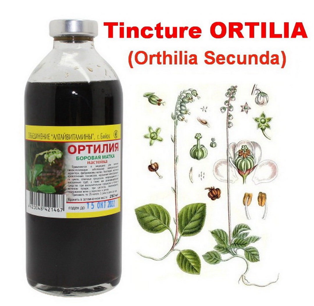 Tincture ORTILIA 250ml (orthilia Secunda) Borovaya Matka Ортилия ...