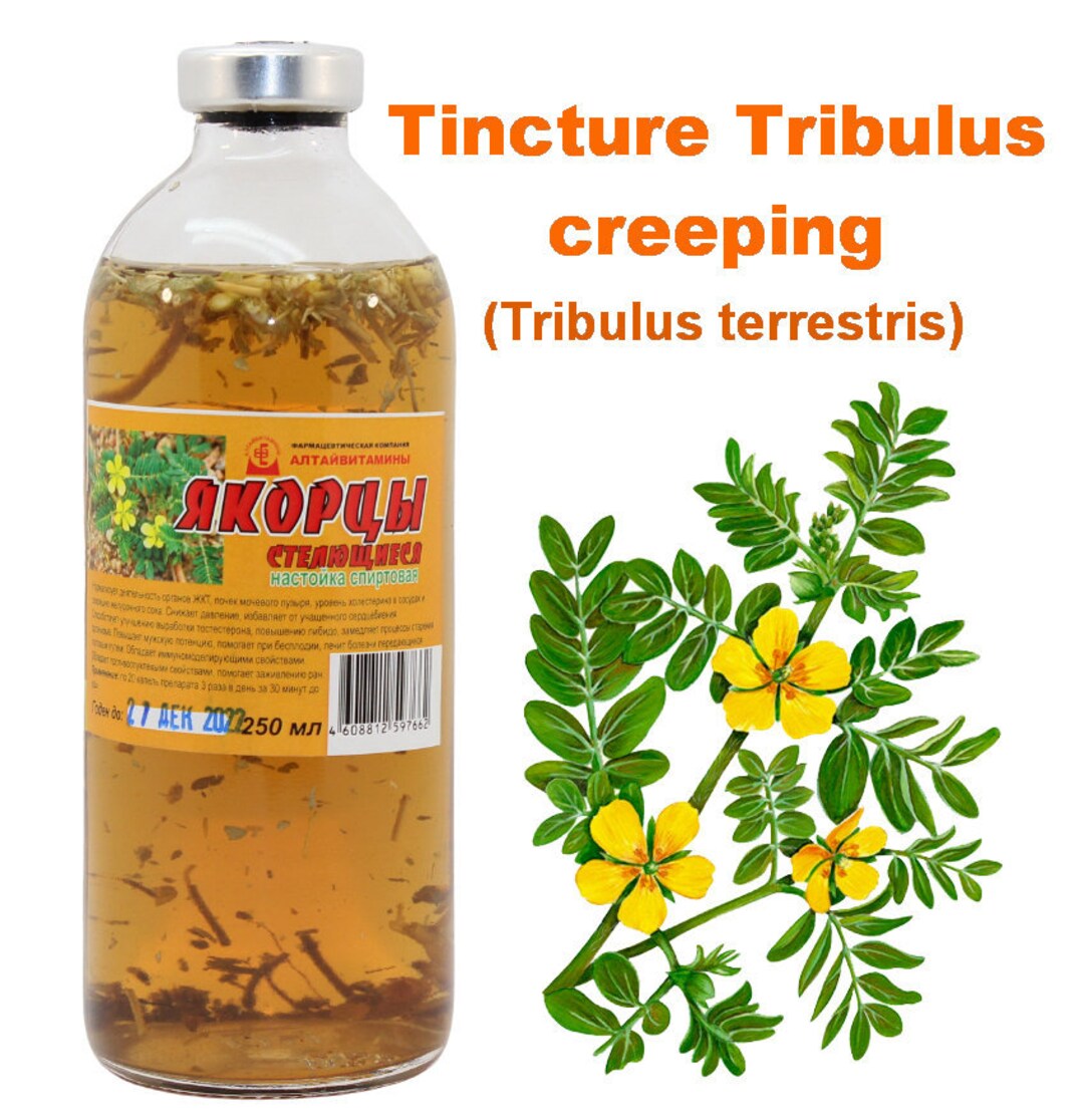 Tincture Tribulus Creeping 250ml (tribulus Terrestris) Якорцы ...