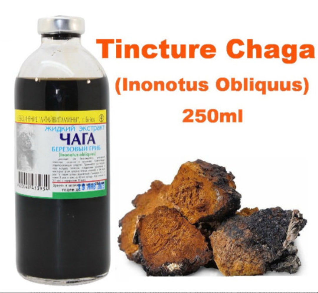 Tincture Chaga 250ml Extract inonotus Obliquus Chaga Mushroom Чага ...