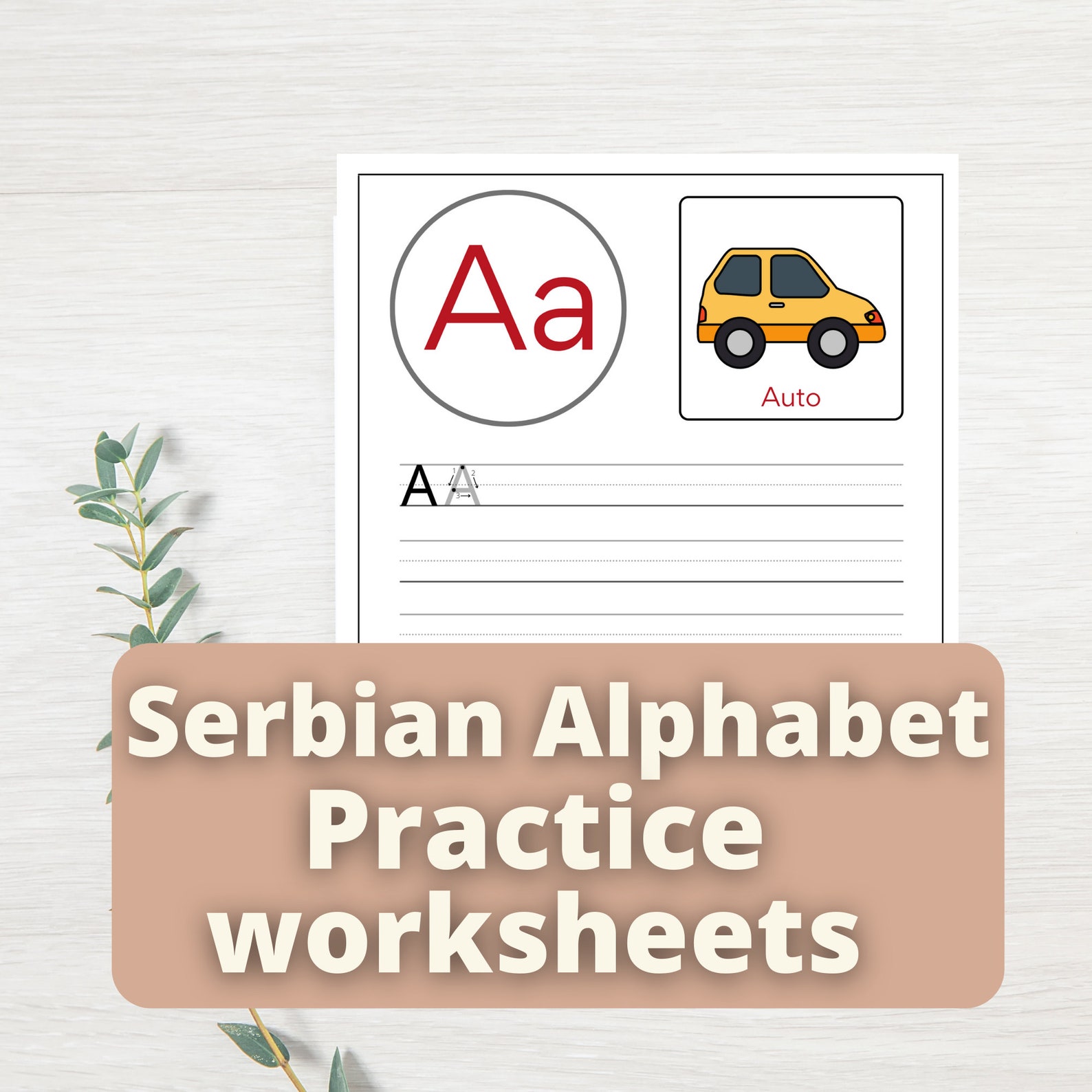Printable Serbian Alphabet Worksheets for Kids With Pictures, Example ...