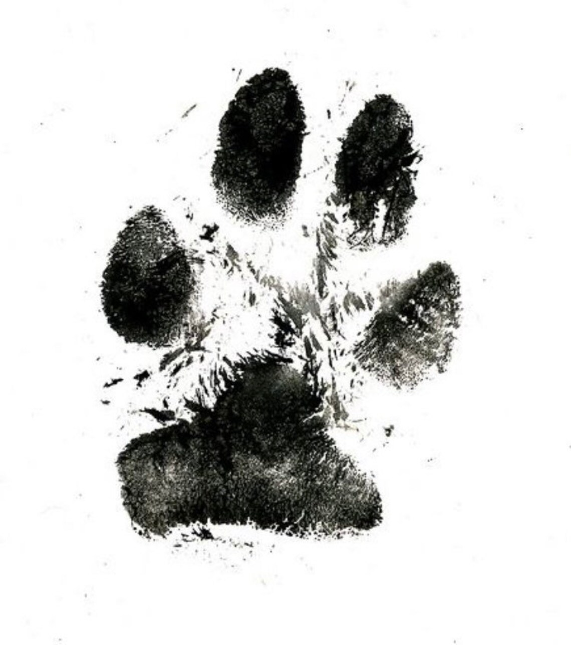 Inkless Paw Printing Kit. Dog Paw Printing. Cat Printing Kit. | Etsy UK