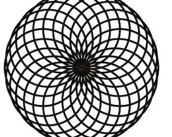 Golden Spiral | Etsy