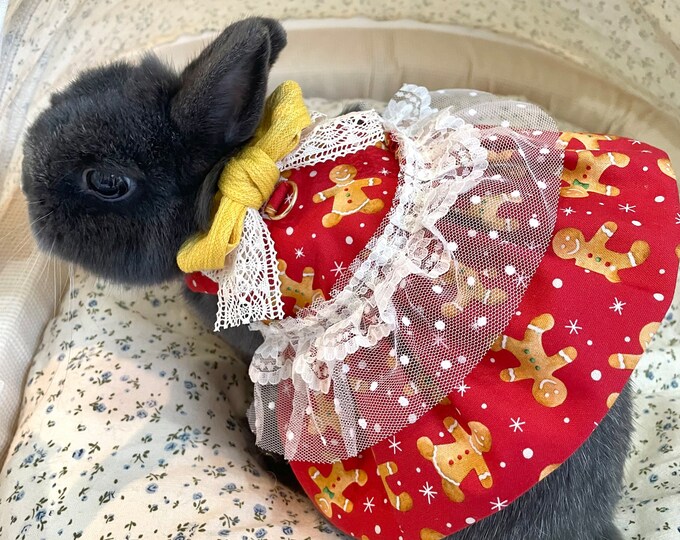 BunnyFashionWear - Etsy Canada