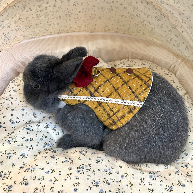 Autumn Ginkgo Wool Short Dress Pet Bunny Dress/harness - Etsy