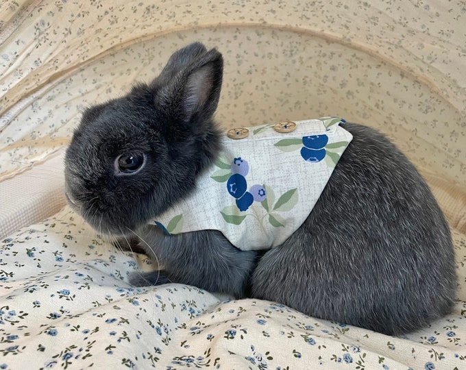 BunnyFashionWear - Etsy Canada