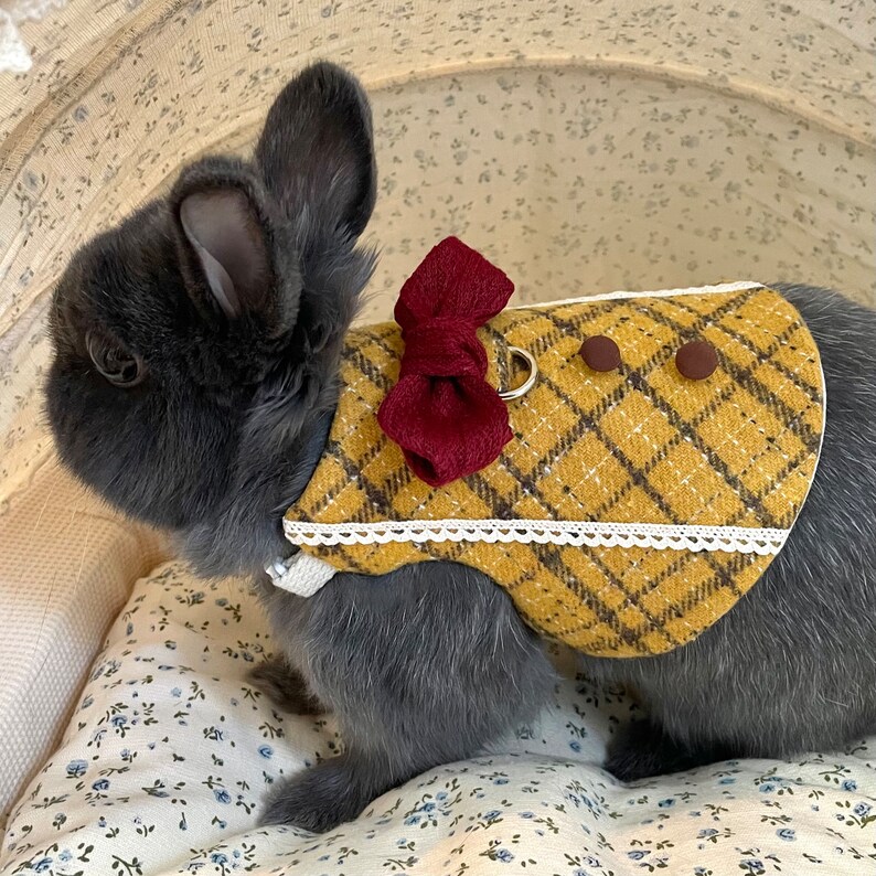 Autumn Ginkgo Wool Short Dress Pet Bunny Dress/harness - Etsy