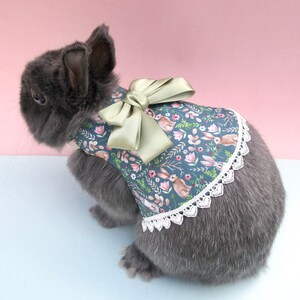 Easter Bunny Garden Bunny Pet Bunny Dress/harness Rabbit - Etsy