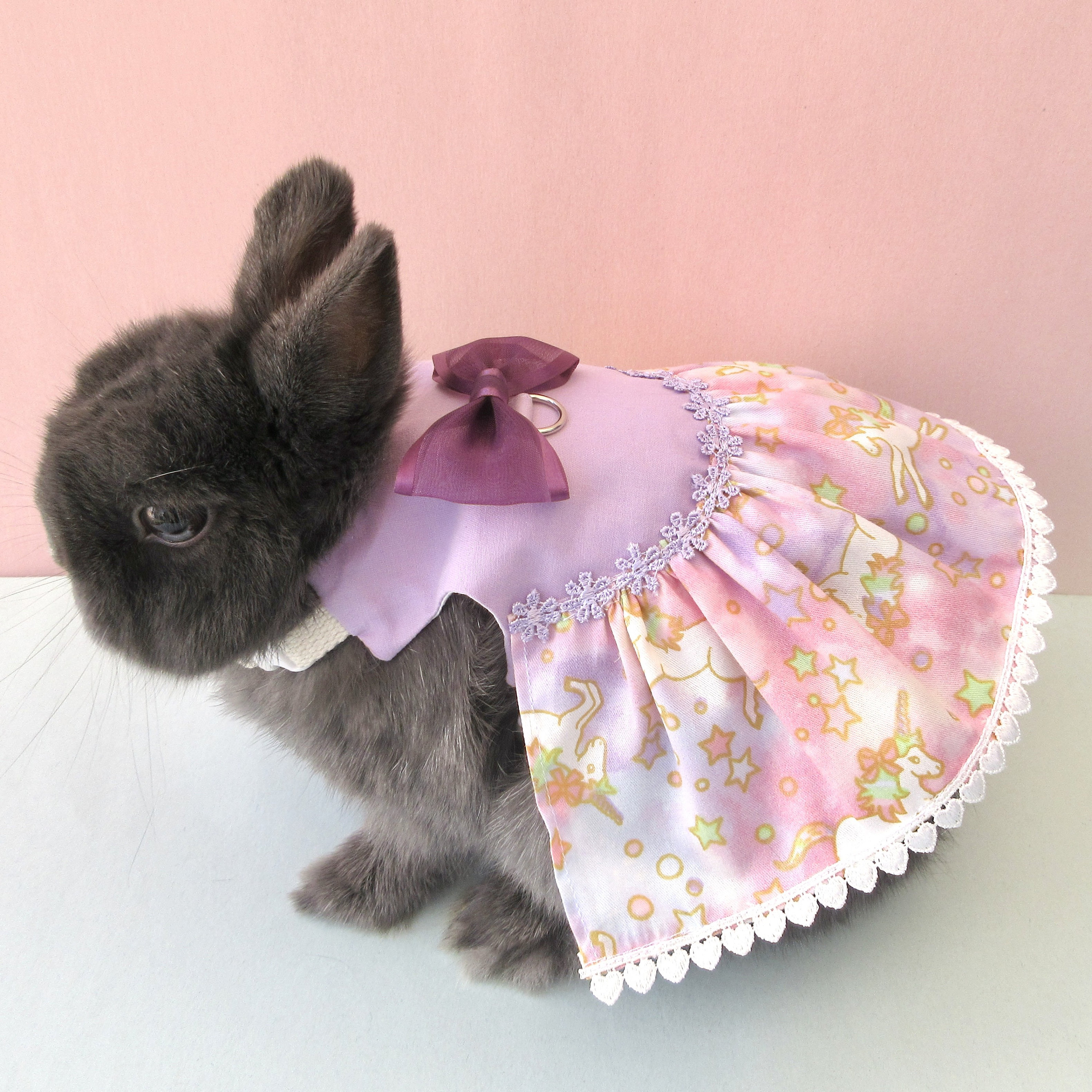 Dream Unicorn Purple Lace Dress Small Pet Clothing Pet Bunny - Etsy