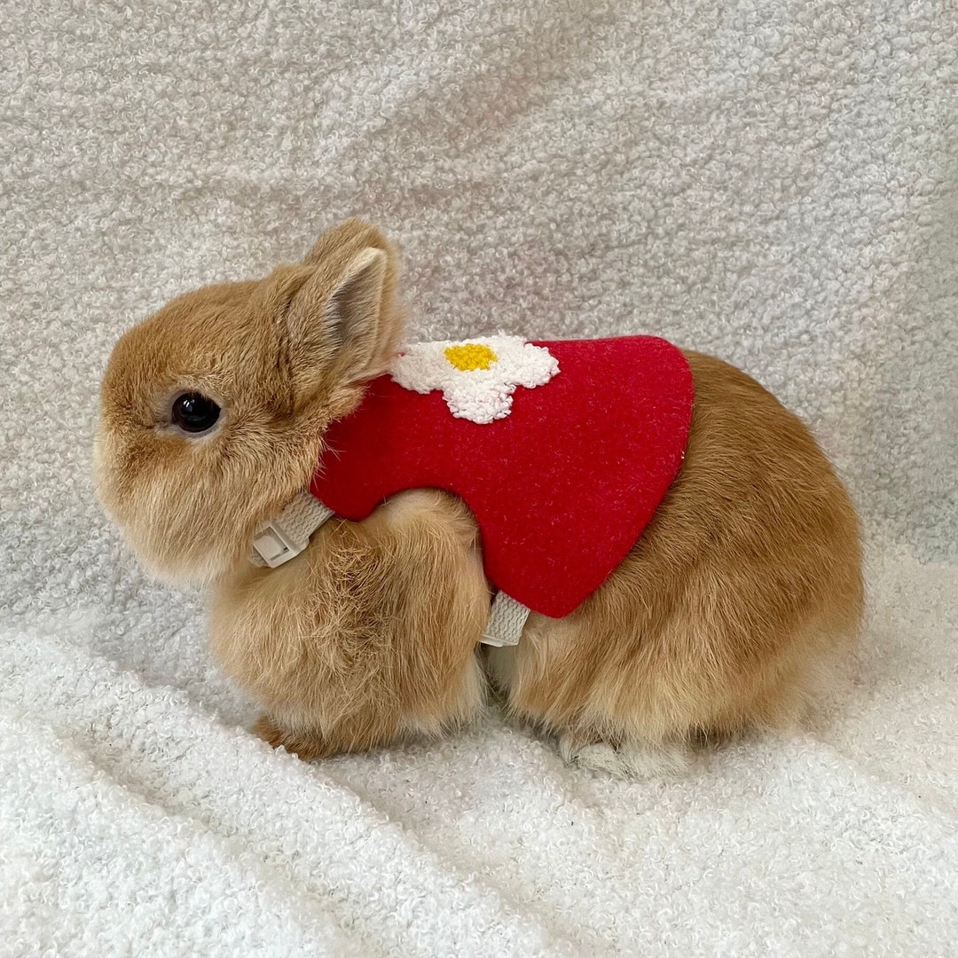 Little Flower Red Short Dress, Pet Bunny Dress, Rabbit Clothing Harness ...