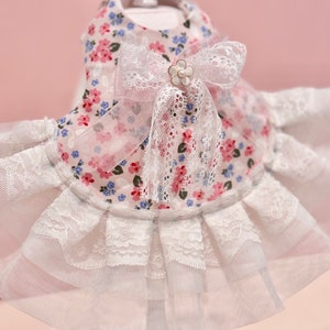 BunnyFashionWear - Etsy Canada