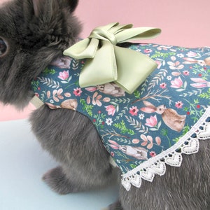 Easter Bunny Garden Bunny Pet Bunny Dress/harness Rabbit - Etsy