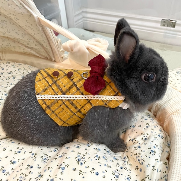 Pet Rabbit Clothing - Etsy