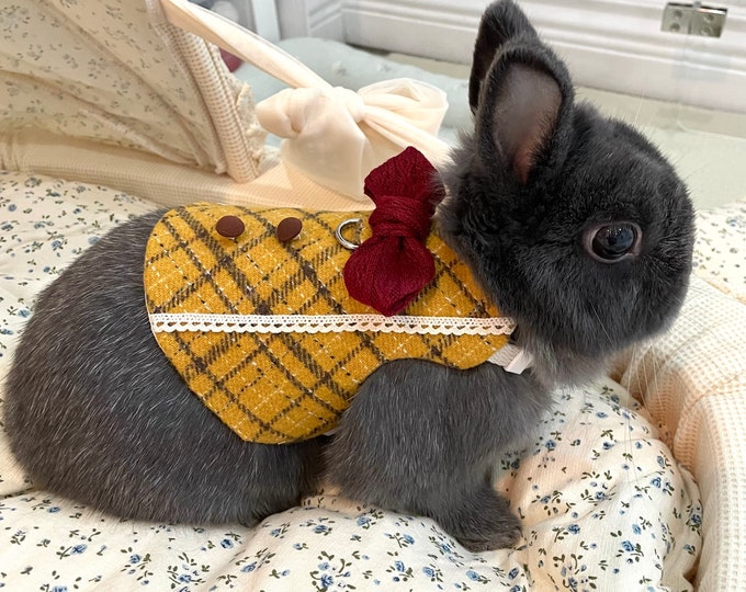 BunnyFashionWear - Etsy Canada