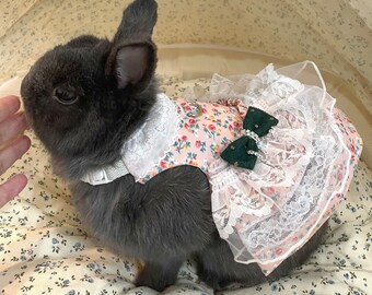 French Lop Rabbit - Etsy