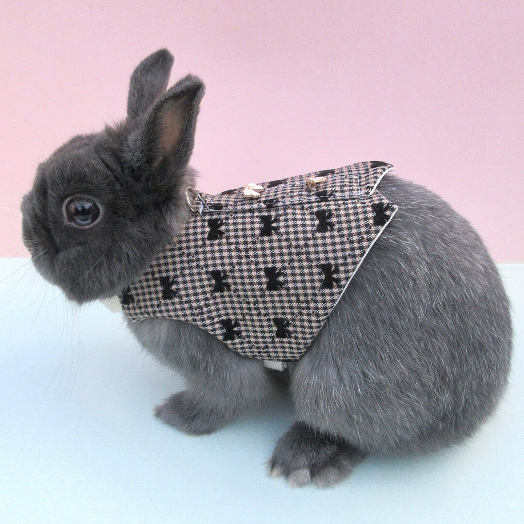 Vintage Style Flocking Vest, Bunny Harness/vest, Small Pet Rabbit ...