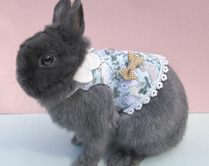 BunnyFashionWear - Etsy Canada