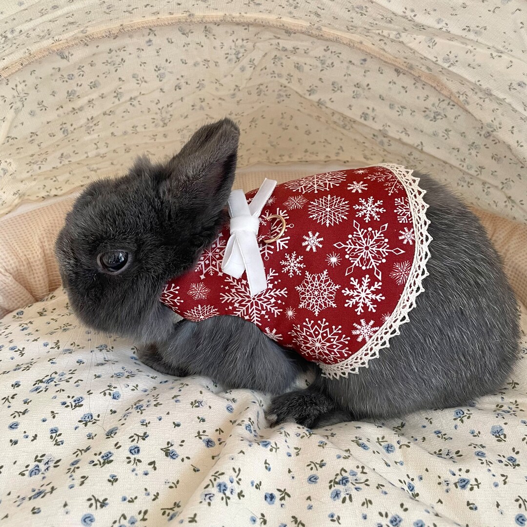 Snowflakes Short Dress, Pet Bunny Dress/harness, Rabbit Clothing ...